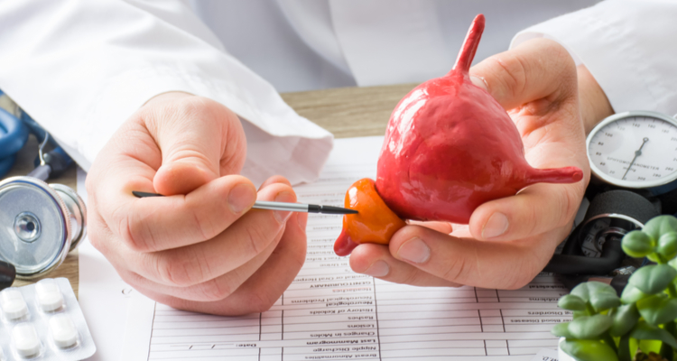 Curasight targets prostate cancer with theranostic approach - Biostock