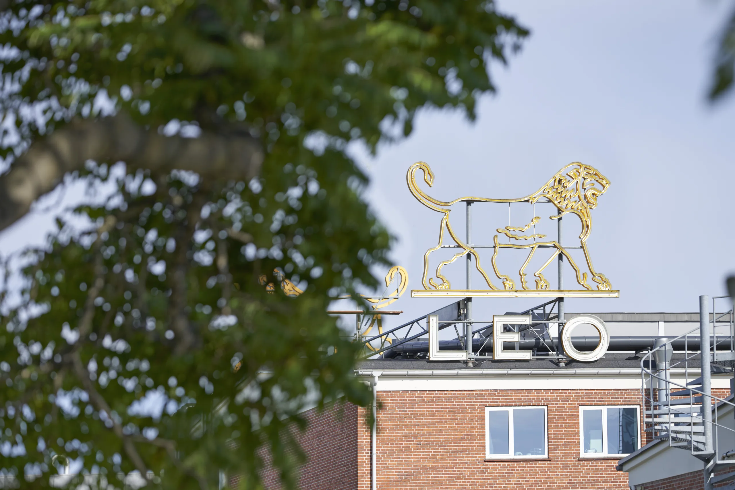 Leo Pharma seeks new acquisitions in rare dermatology - Biostock